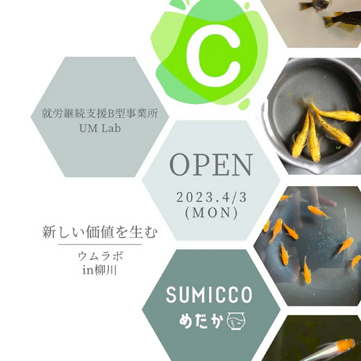 UM Lab一周年を迎えるの巻（7月） – UM Lab